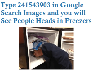 Type 241543903 in Google Search Image and you will See People Heads in ...